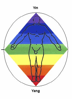 Dimensions del Rombe – El Rombe